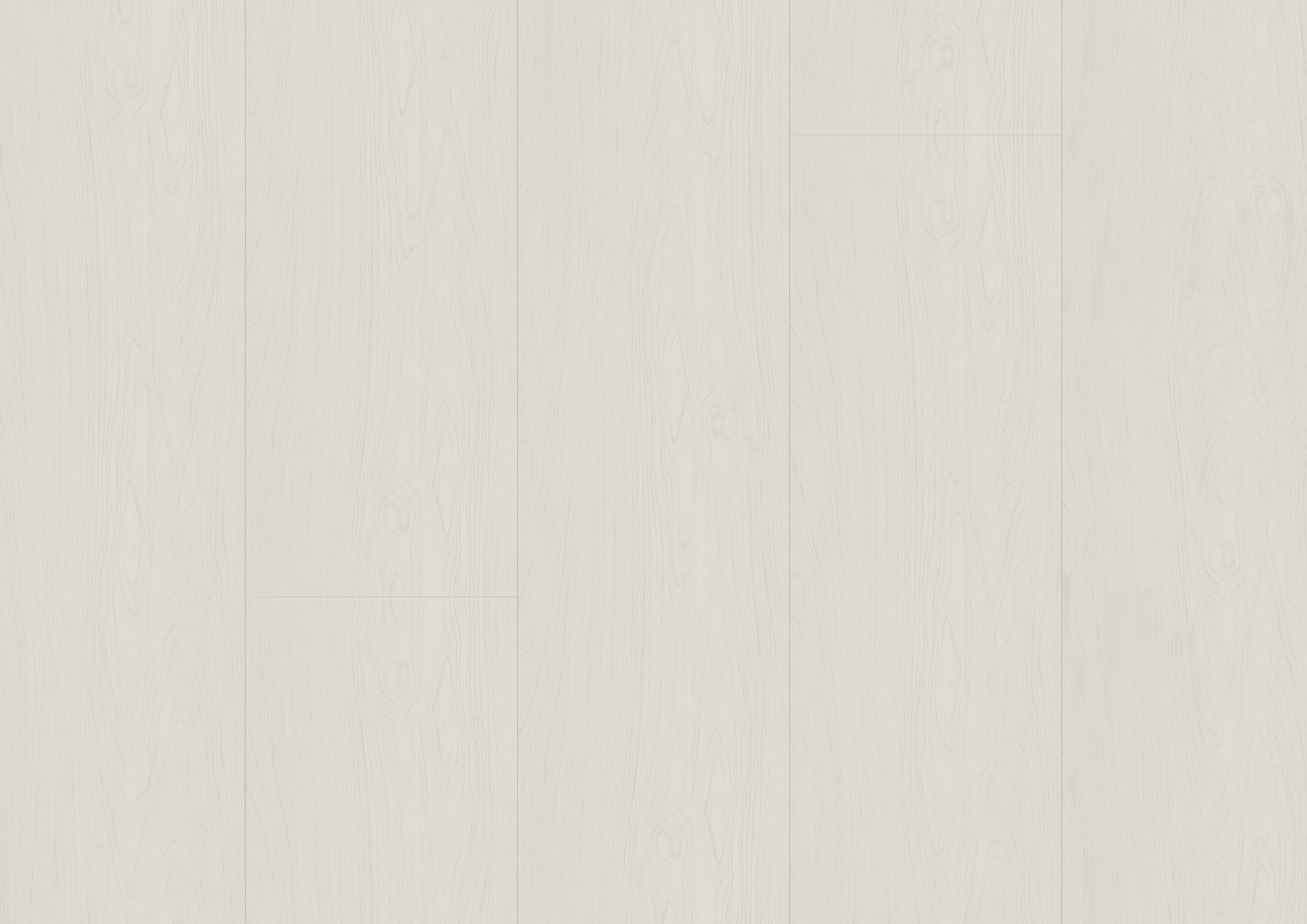 Birke grauweiß | 2600 x 250 x 12 mm | 1101130309