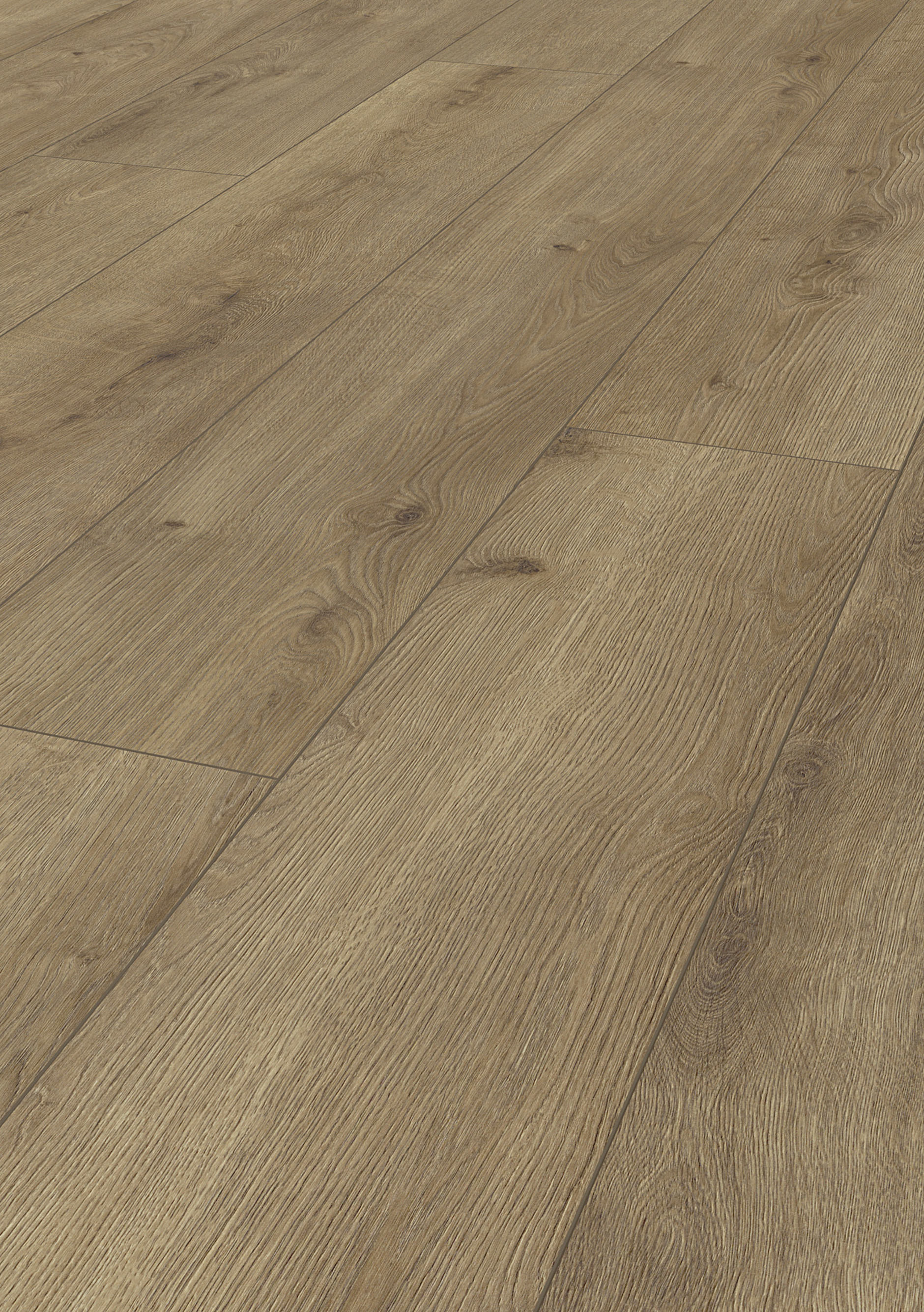 Oak Capri | 1101260038
