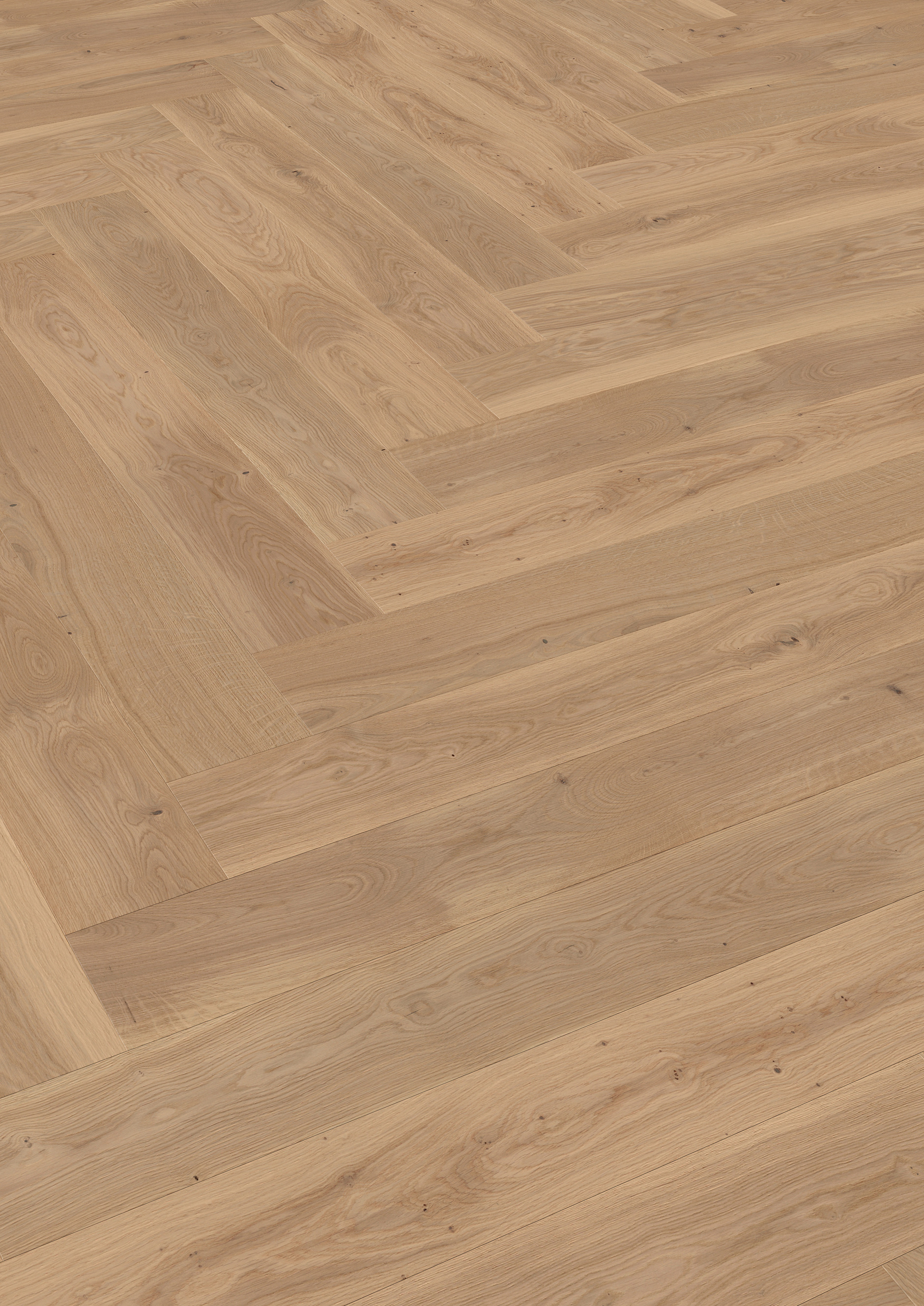 Eiche Ameland | 1101312520