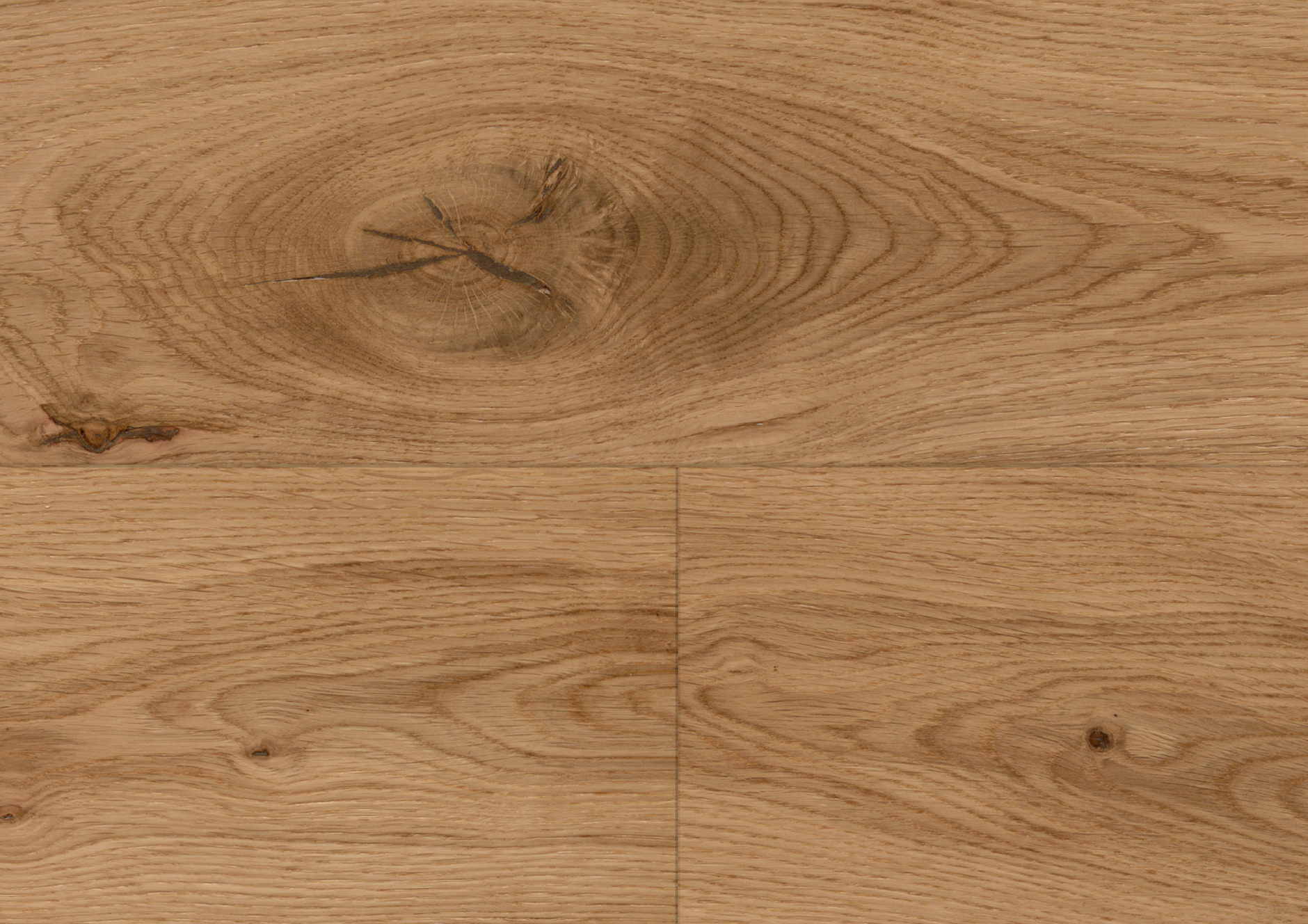 Eiche Adam | 1188312445