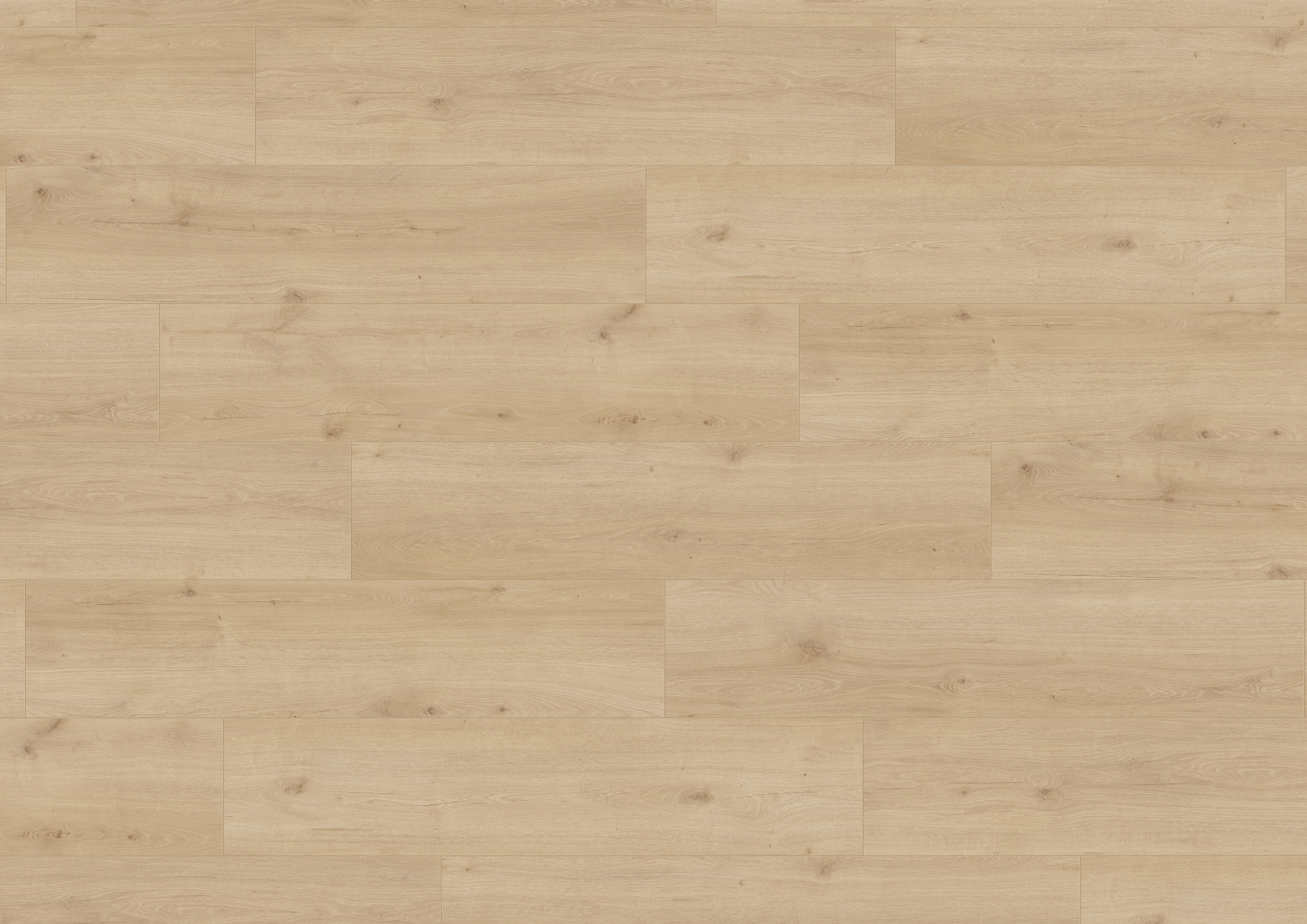 Oak Japandi | 1101021847